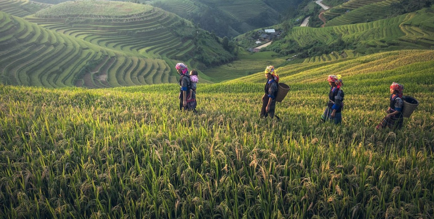 Reports & Financials | 4SD Foundation