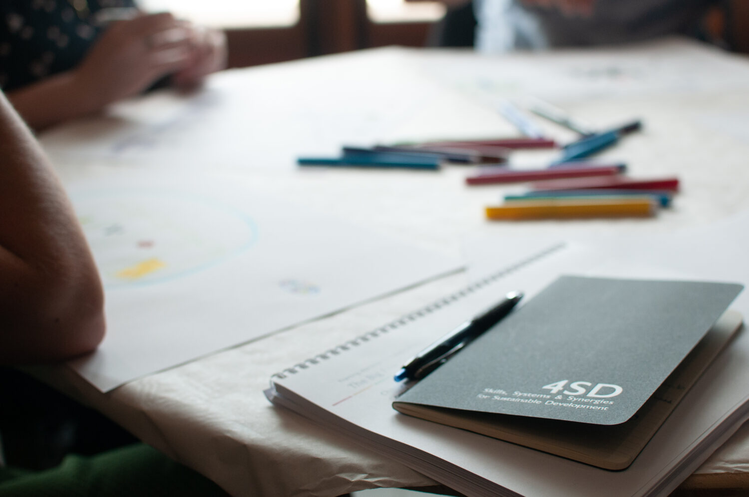 Home | 4SD Foundation Foundation - Skills, Systems & Synergies for ...