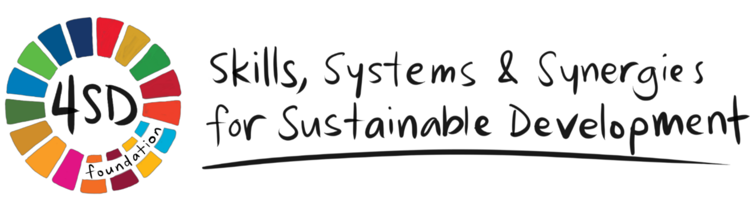 Our Guiding Principles | 4SD Foundation